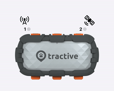 Get started with your Tractive DOG XL Adventure Edition! – Tractive ...